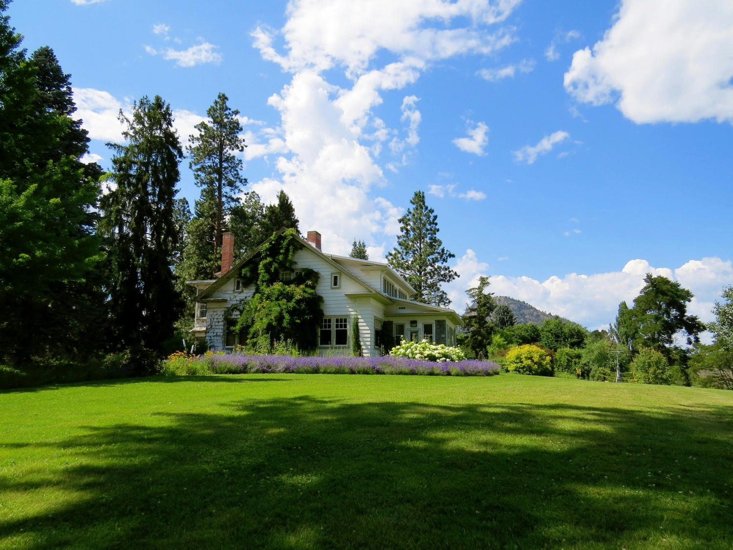7 Features of Climate-Resilient Homes That You Should Consider ...