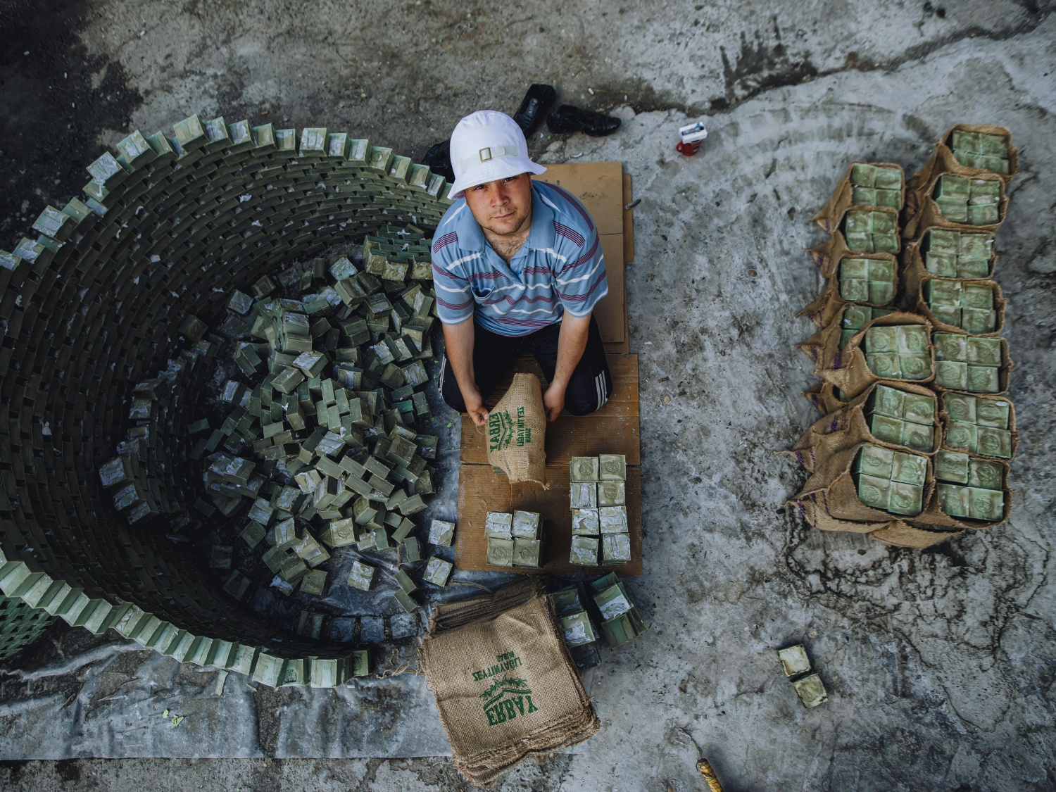 Revolutionizing Architecture: PLP Labs Unveils Groundbreaking Mycelium ...