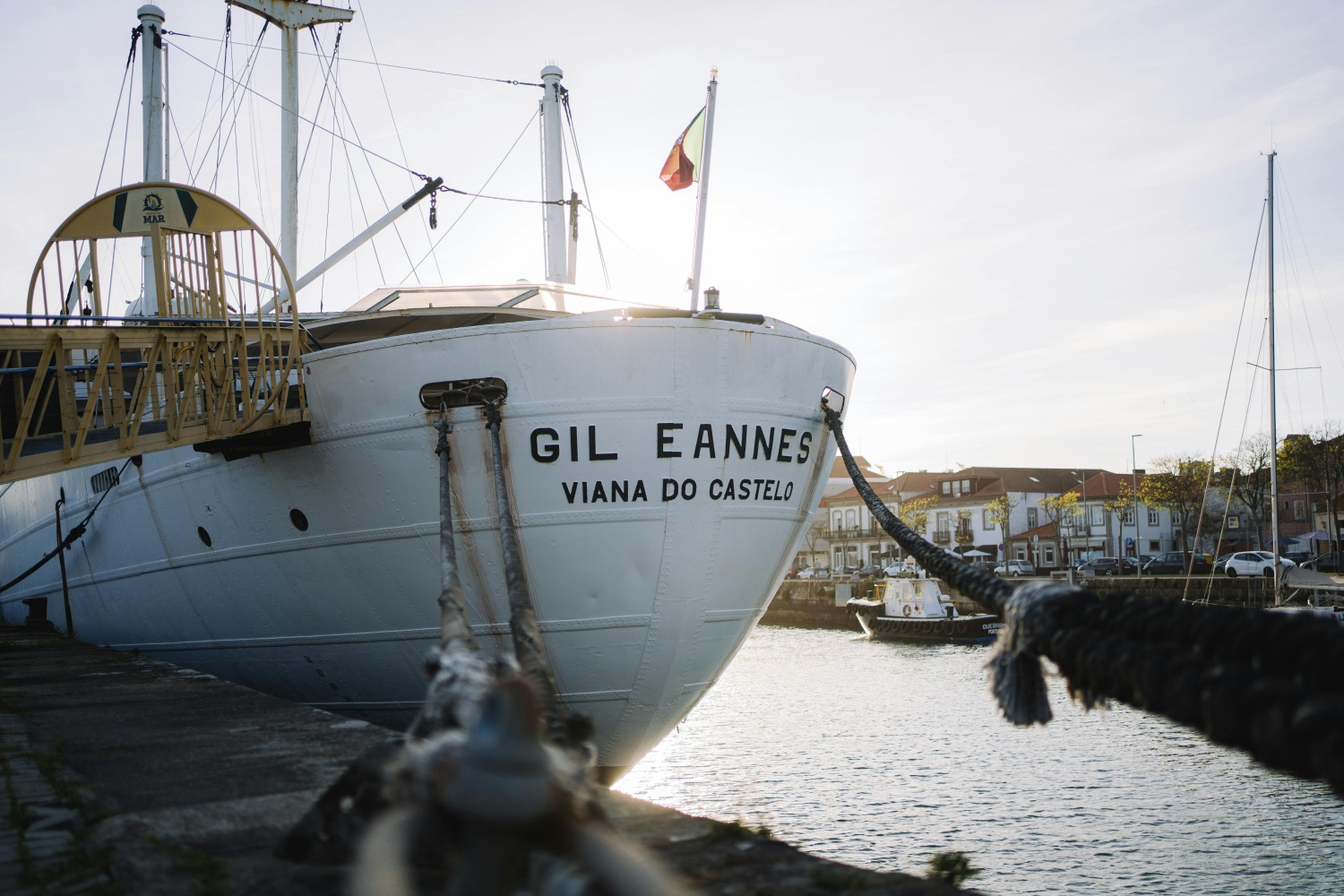 Revolutionary Design of Sterntubeless Ship Promises Major Environmental ...