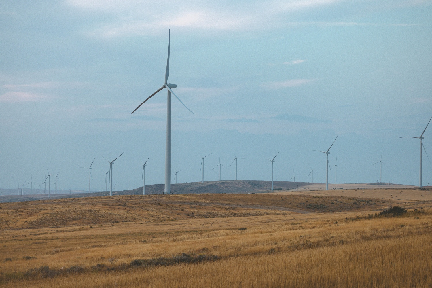 Egypt's $10 Billion Wind Farm Project: Lighting Towards Goals for ...